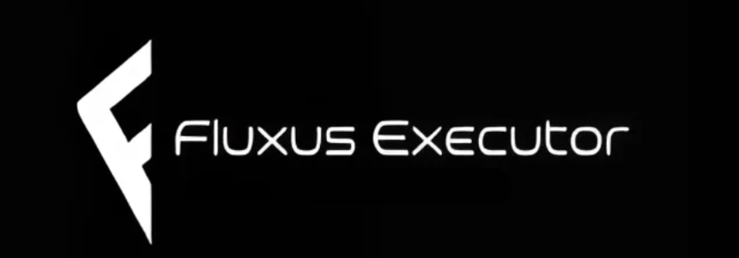Fluxus Executor Recensione 2025: Truffa o funziona?